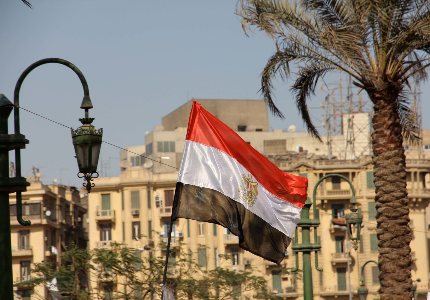Egypt Establishes New Authority for Intellectual Property